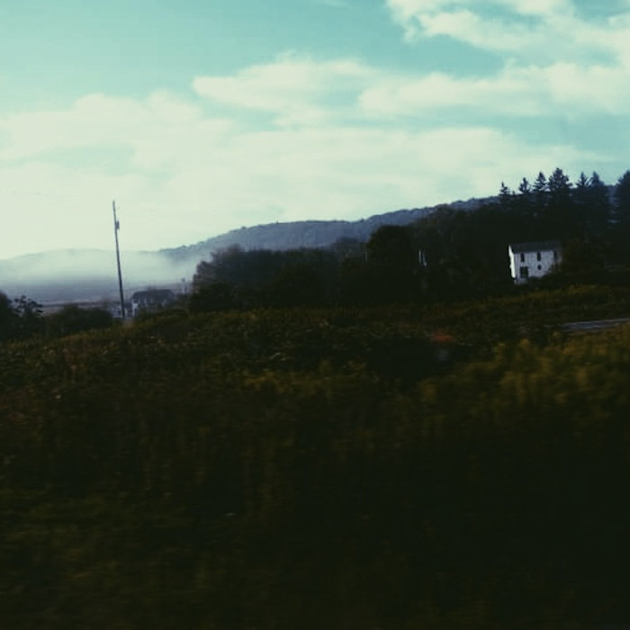 welcome home grey skies | take nothing, leave everything