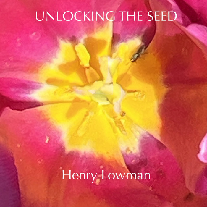 UNLOCKING THE SEED | Henry Lowman