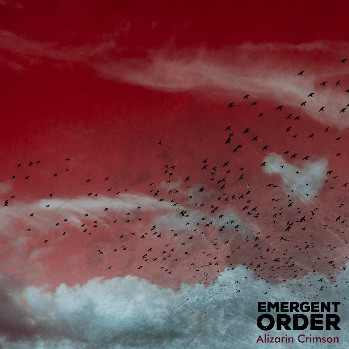 Alizarin Crimson | Emergent Order