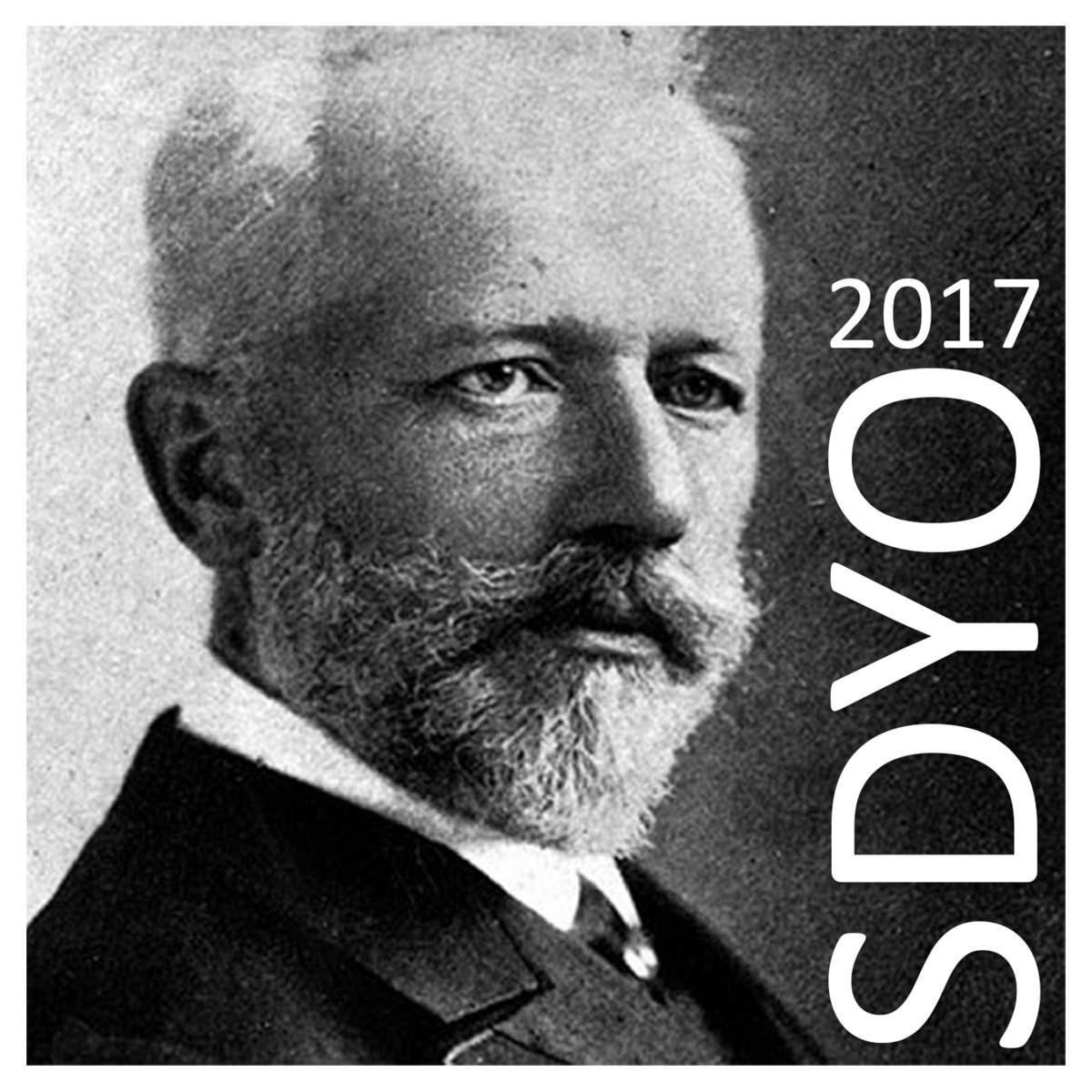 SDYO 2016-2017 - Final Concert | South Downs Youth Orchestra | Teapot Media