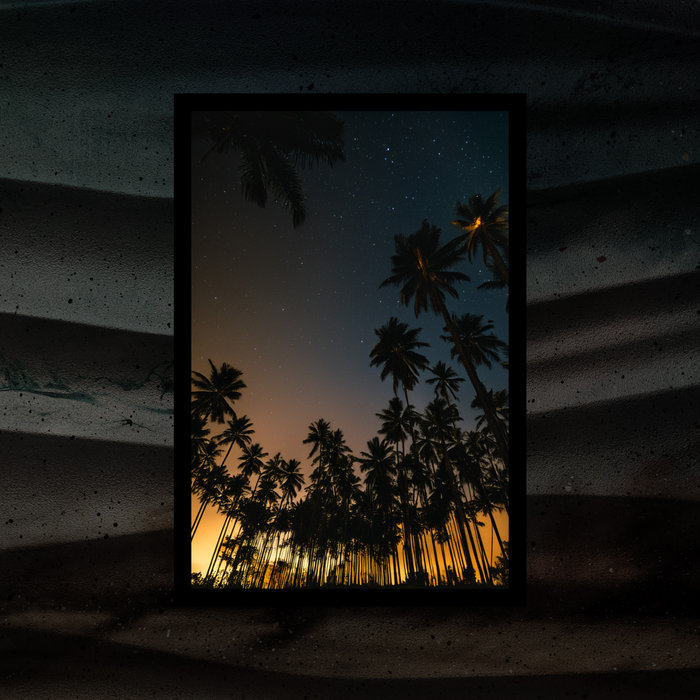 Where the Forest Meets the Stars | Eternal Meadows