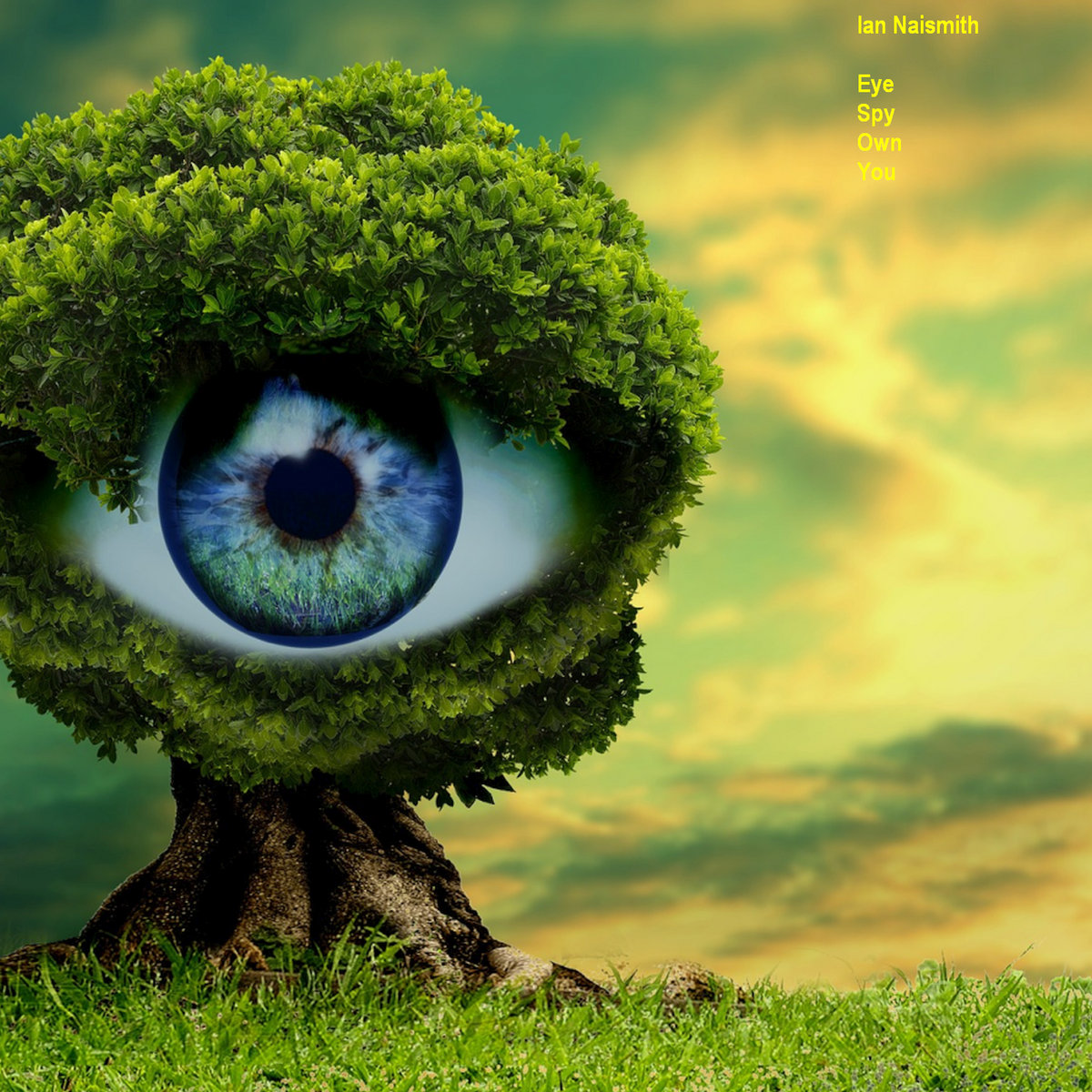 Eye Spy Own You | Ian Naismith