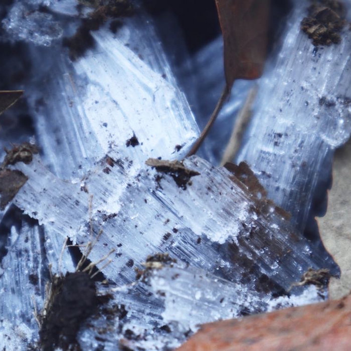 Revenant Ghost | cokiyu