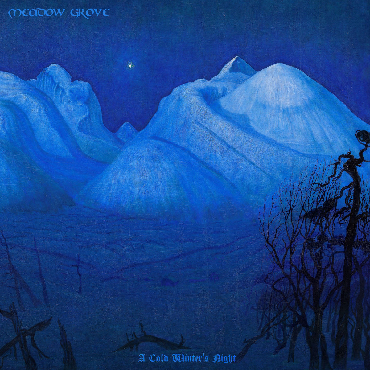 A Cold Winter's Night | Meadow Grove