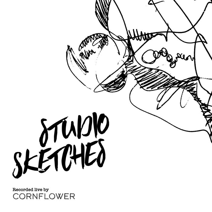 Studio Sketches | Cornflower