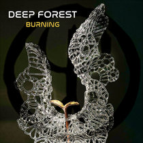 LIVE MACHINE | DEEP FOREST | Deep Forest
