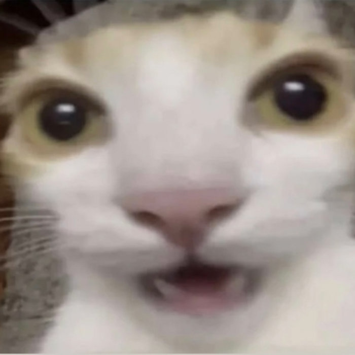 Chipi Chapa Dubi BOOM - The Cat Meme Song (feat. Christell) | aataGila