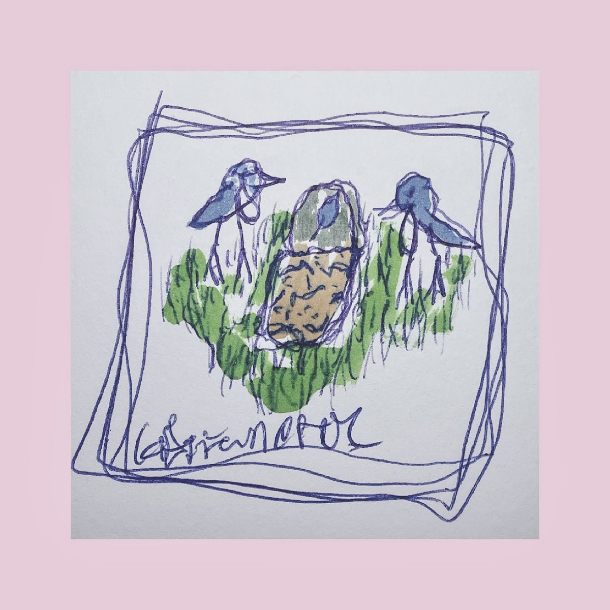 bird funeral. | bird funeral