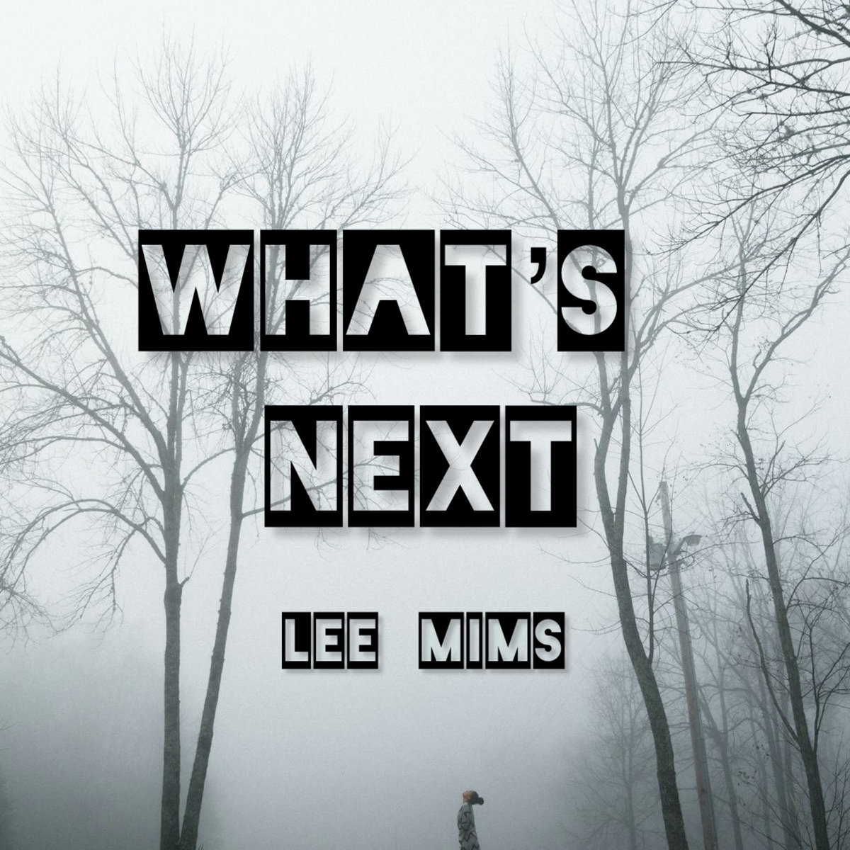 What's Next | Lee Mims Productions