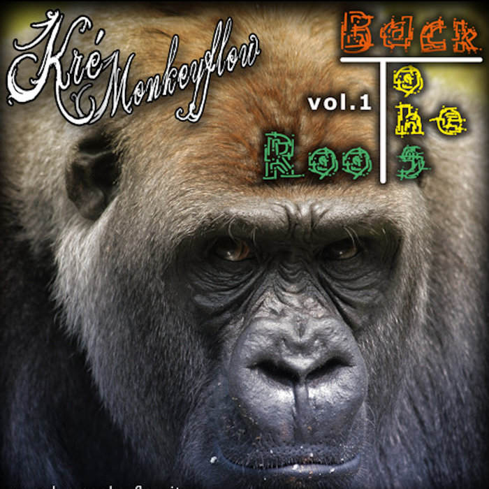 Back to the Roots | Monkeyflow Studio