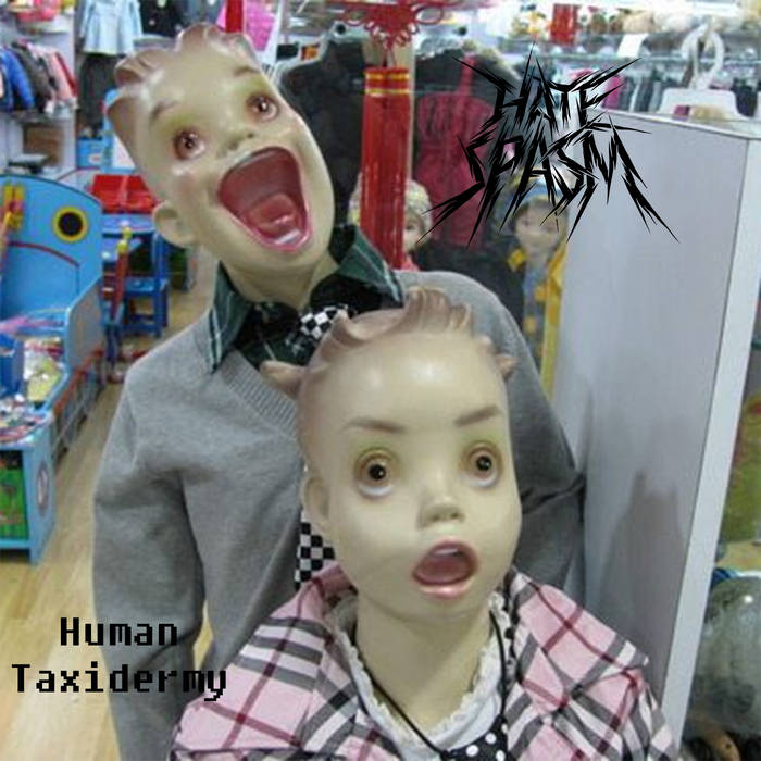 Taxidermy Human Head