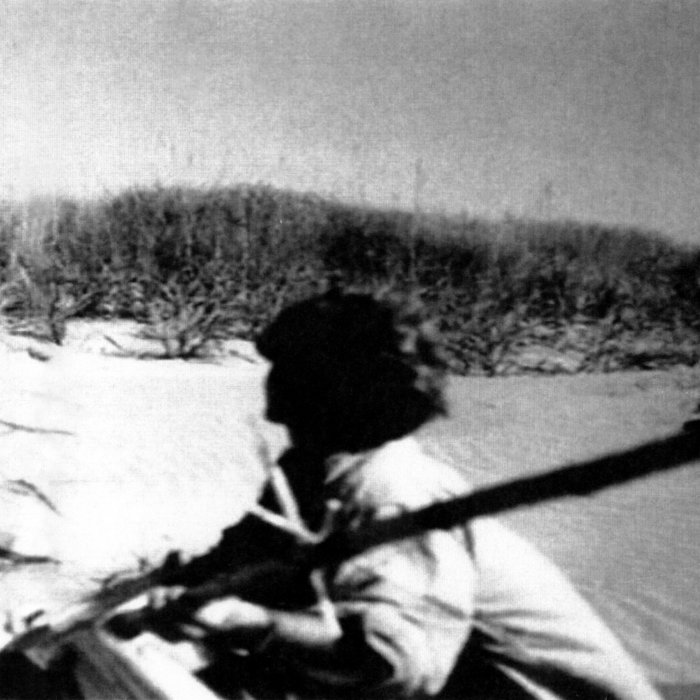 Mark Moffett presents Wasta | The Memes | Blue Verhey