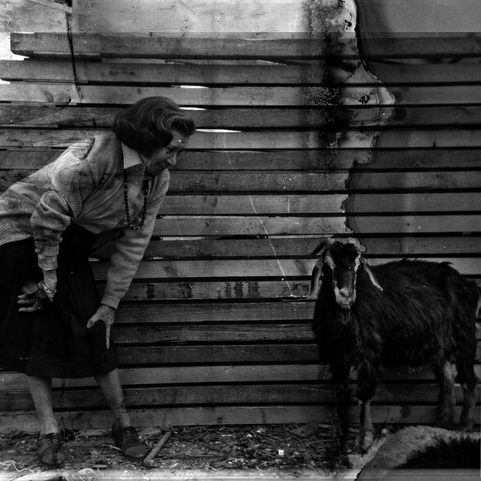 Downer | Moonlite Bunny Ranch | Love Blast