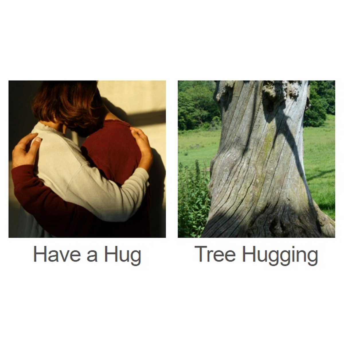 Hugs | Sharon Stiles (Mind Blocks Sorted)