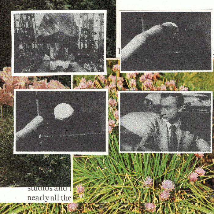 Harry Hayes | Harry Hayes | Bramling Records