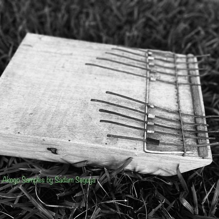 Base Akogo Sample Voices | Sadam Seguya