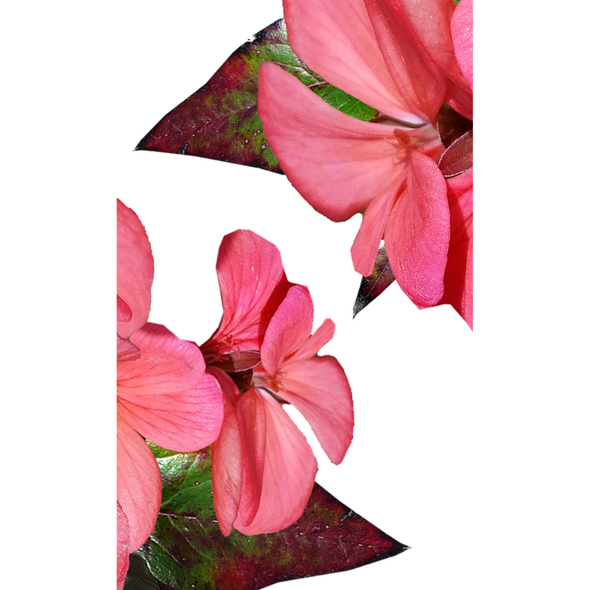 LA Spring | Hal Lambert and Mitchell Mobley | Tentative Power