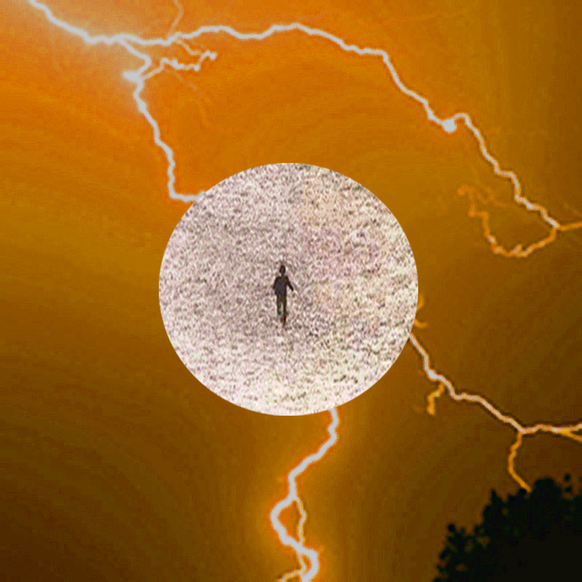 11111111111111111111 | Pharmacist