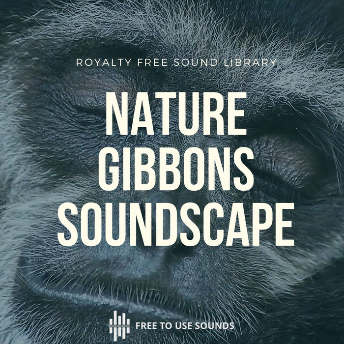 Apes Sound Effects Library | Gibbons of Vietnam | freetousesounds
