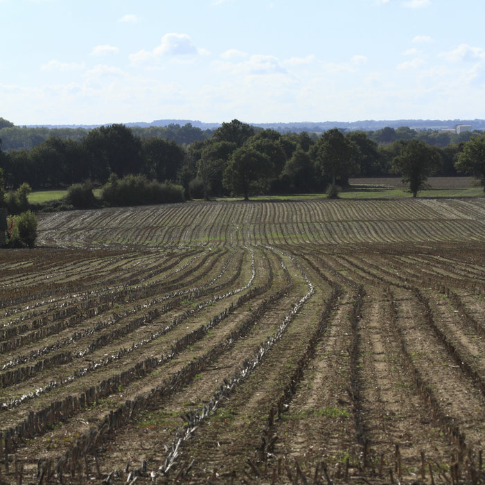 selected longer pieces 2021 | peter pick