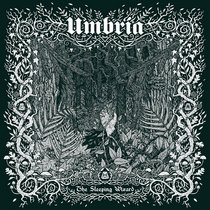 The Binding Brew | Realmkeeper