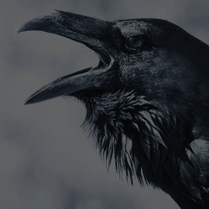 The Raven | Lee Rosevere and AccidentallyGraceful | Lee Rosevere