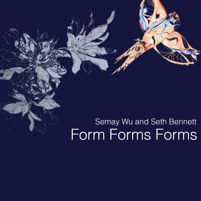 Form Forms Forms | Semay Wu and Seth Bennett | scatterArchive