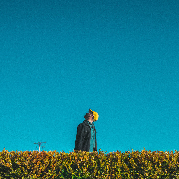 Overwhelming Odds for Underwhelming Dreams | Backyard