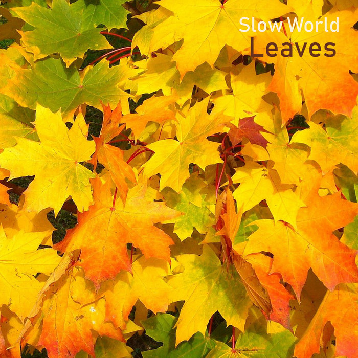 Leaves | Slow World | Lemongrassmusic