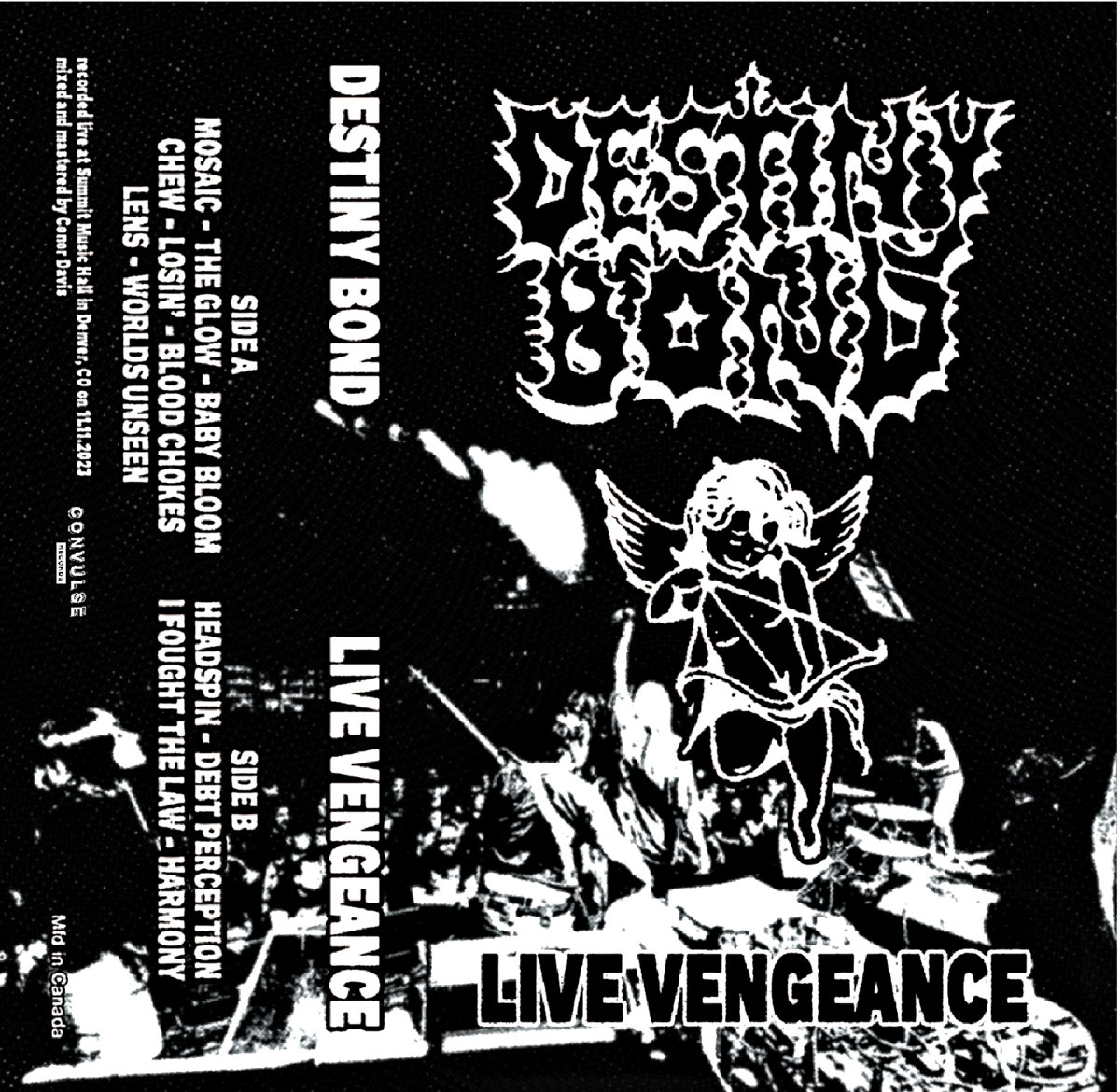 Live Vengeance | Destiny Bond