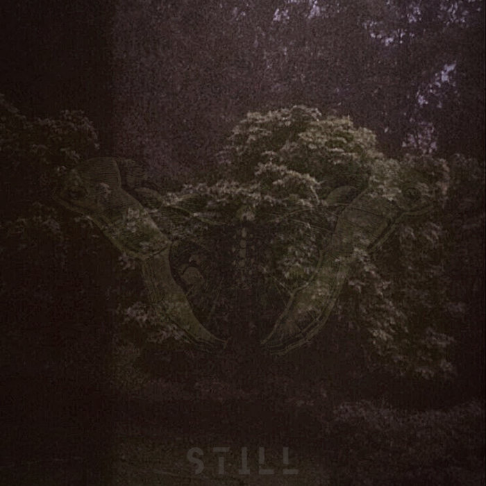 Still | Jon Rist (fka Morbin)