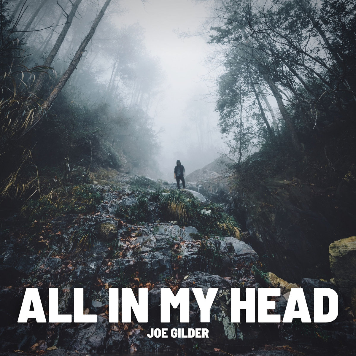 All in My Head | Joe Gilder