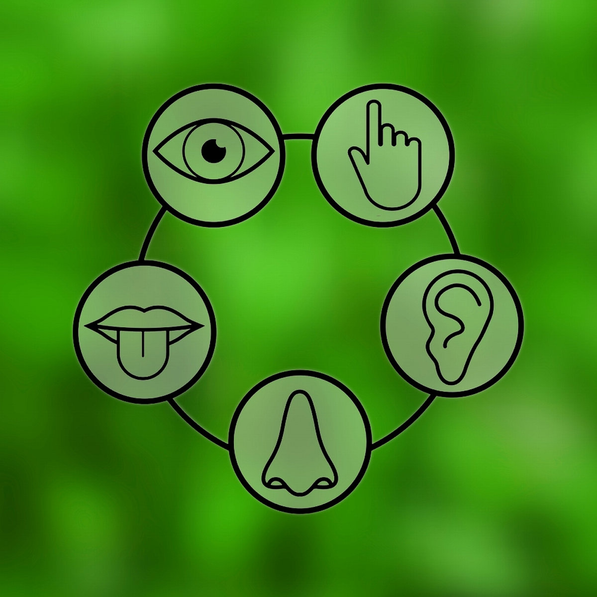 5 Senses | Sharon Stiles (Mind Blocks Sorted)