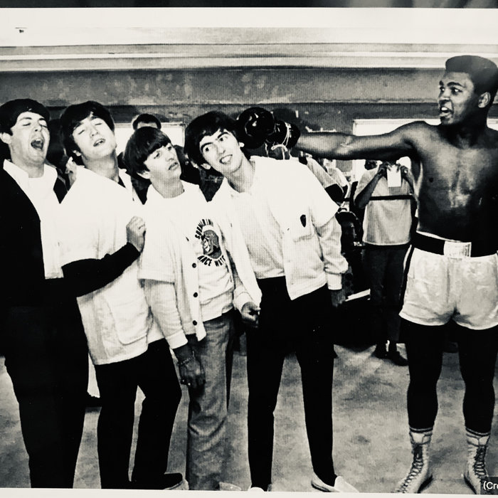 unfortunate miscalculations | Sad Boxer