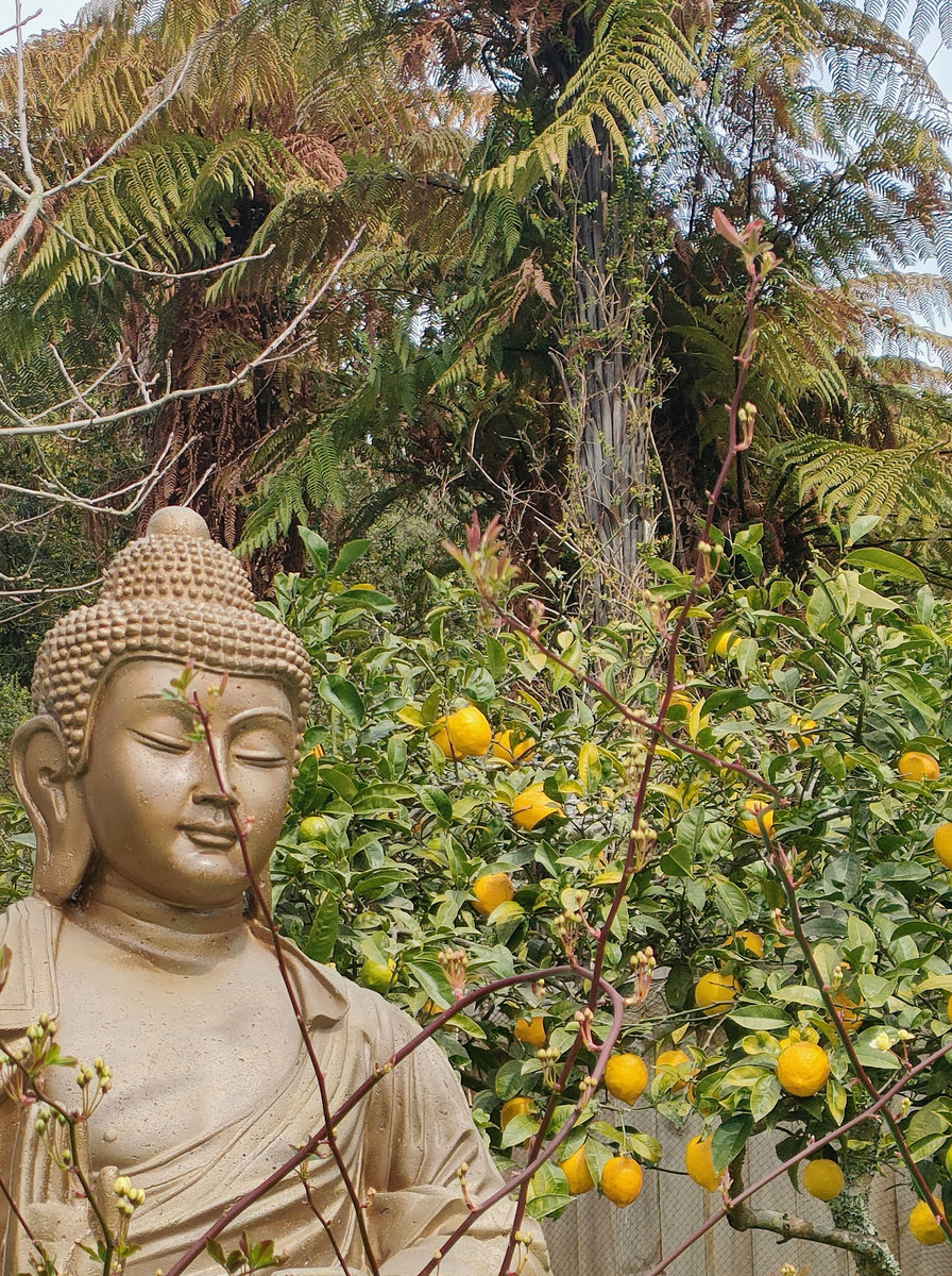 Lake Rotoma Session | Robbie Duncan and Bernard Messmer | Robbie Duncan