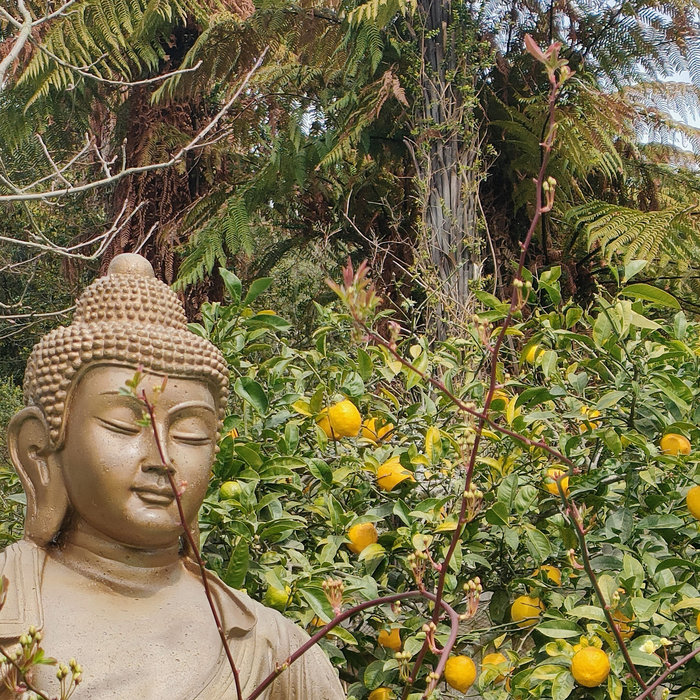 Lake Rotoma Session | Robbie Duncan and Bernard Messmer | Robbie Duncan