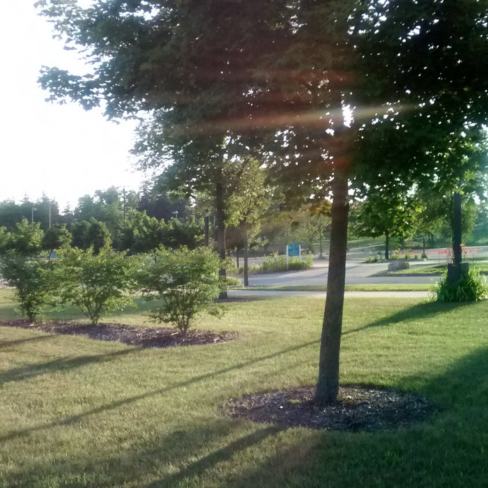 Oíche Gorm (Blue Night) | mmm