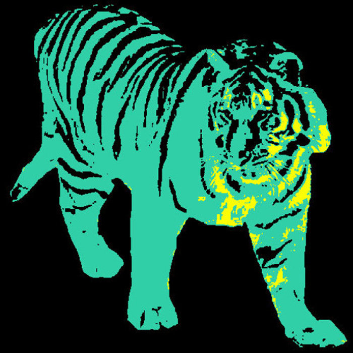 Turquoise Tiger e.p. | late night sleep t.v.