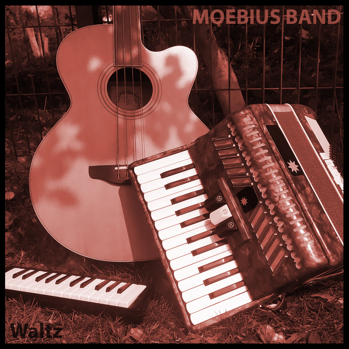 Waltz | MOEBIUS BAND | Moebius Band