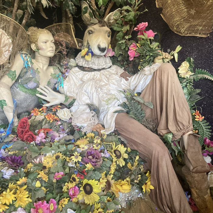 Gutting My Dead Rabbit | r4bbit