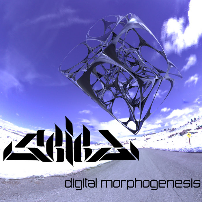 Digital Morphogenesis | Seied