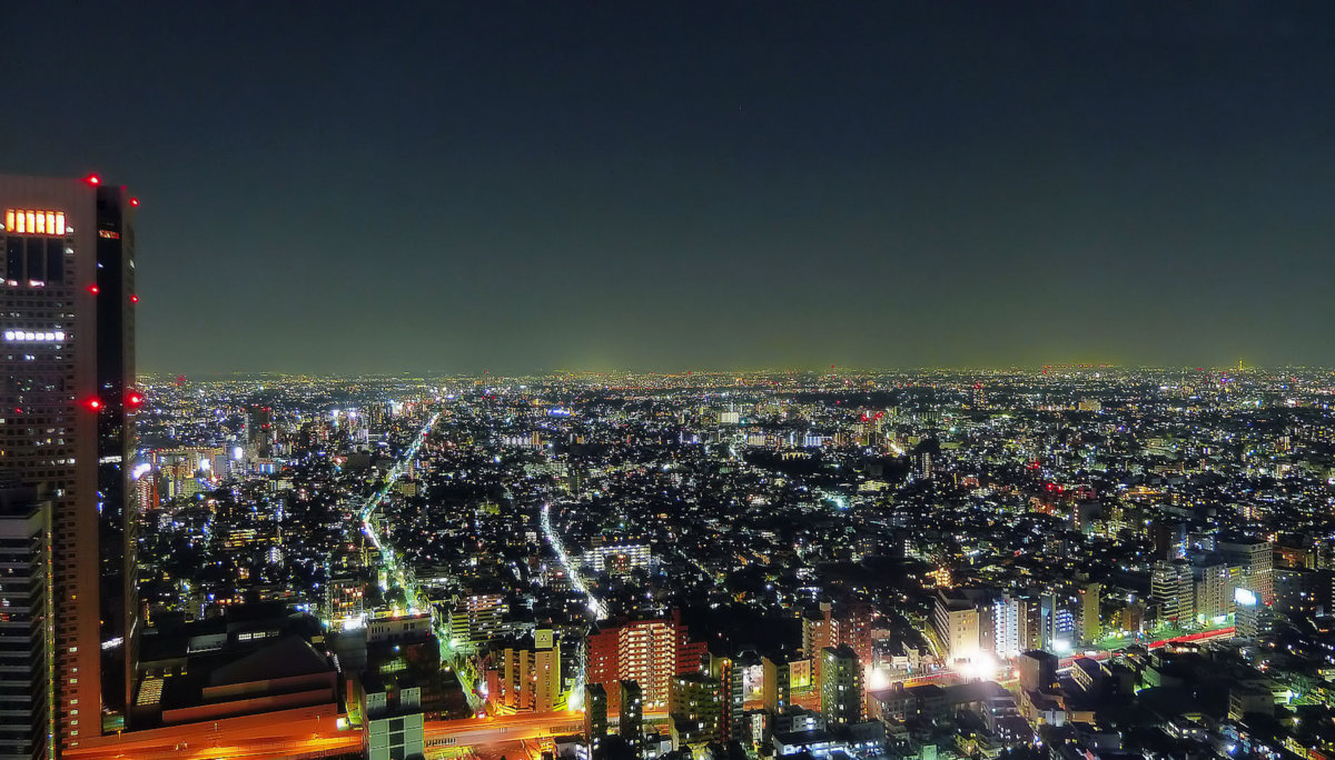 Ambience of The Tokyo Megalopolis | SANMI