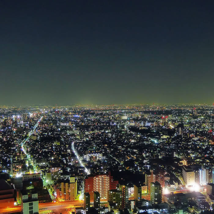 Ambience of The Tokyo Megalopolis | SANMI