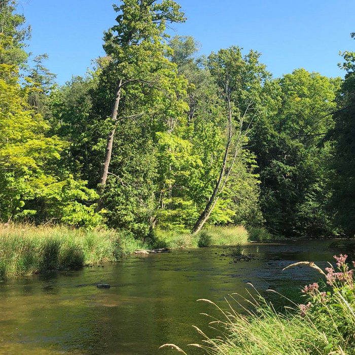 (It Doesn't Get) Any Getter Than This (Feat. Lauren Torey) | Tim Wasik