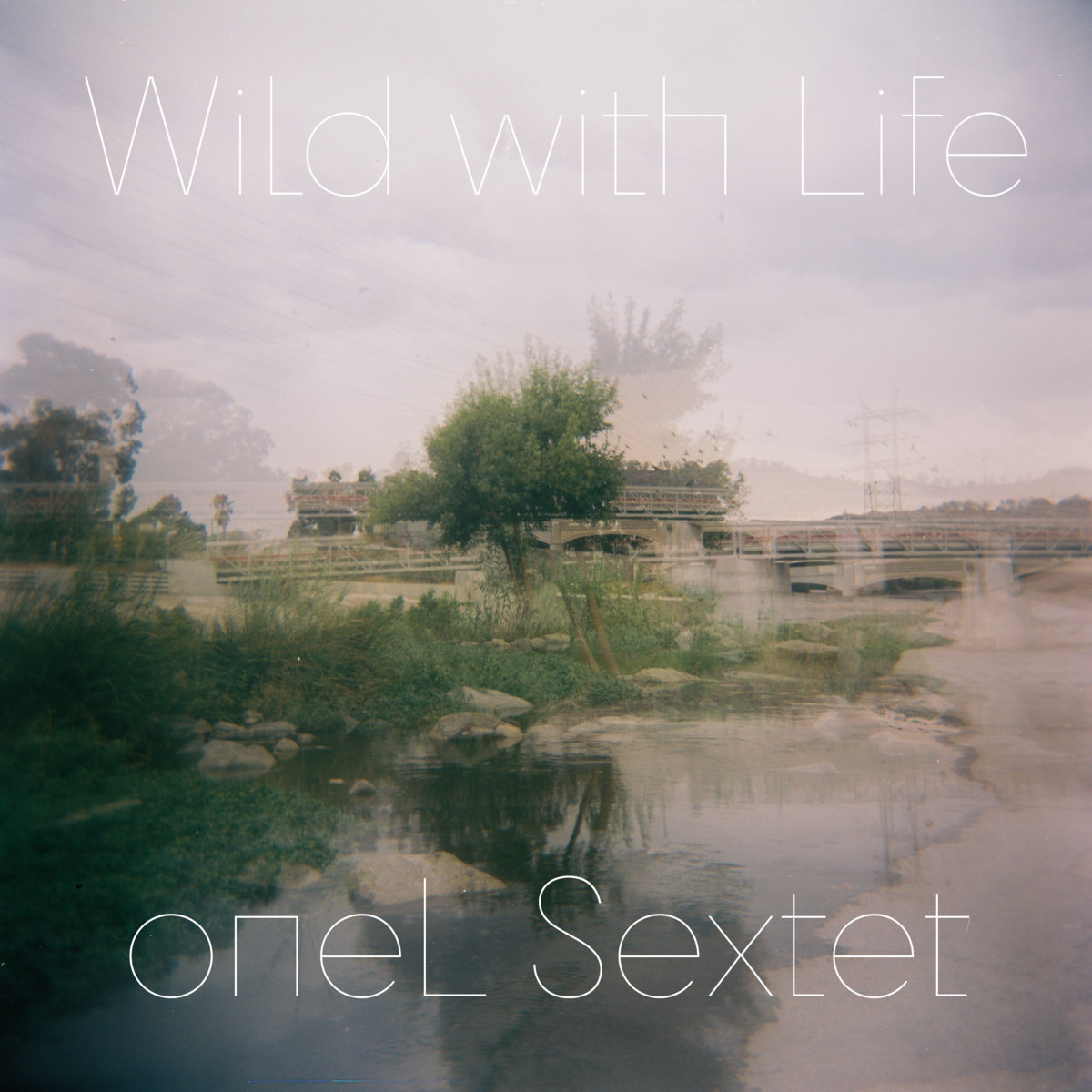 Wild with Life: Reflections on Life, Impermanence and the Los Angeles ...
