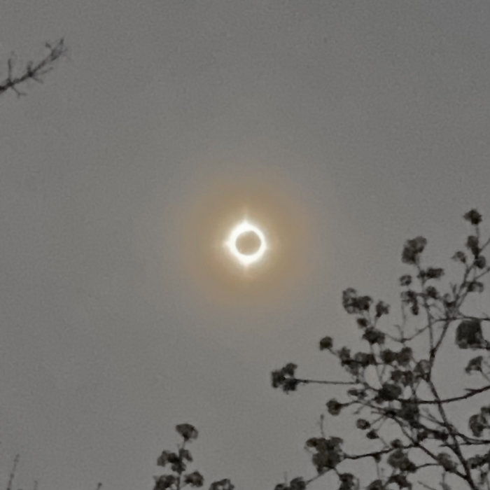 ECLIPSE + DEMOS 4-8-24 [EP] | Pixie Molt | Pixie Molt/ Shukaara