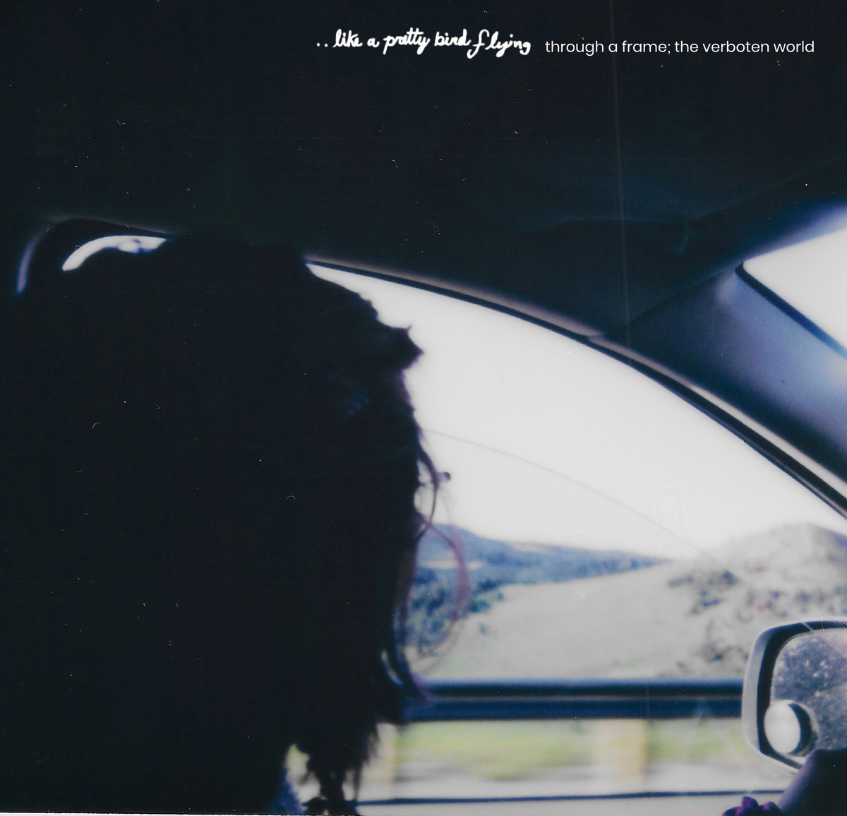 through a frame; the verboten world | ..like a pretty bird flying ...