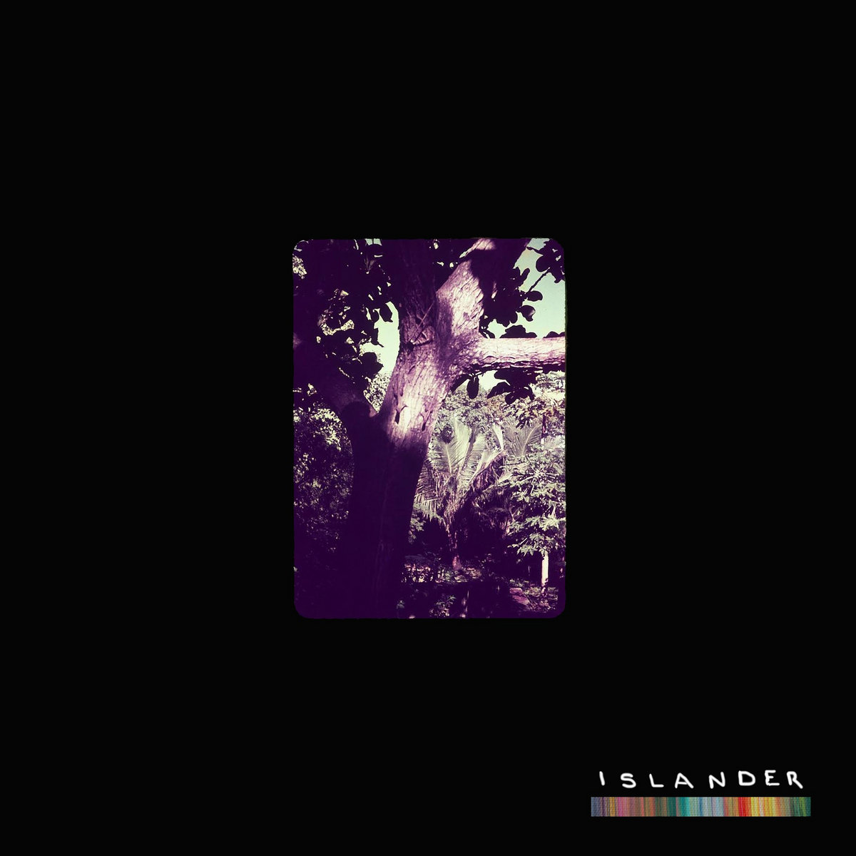 Islander | James Rapp
