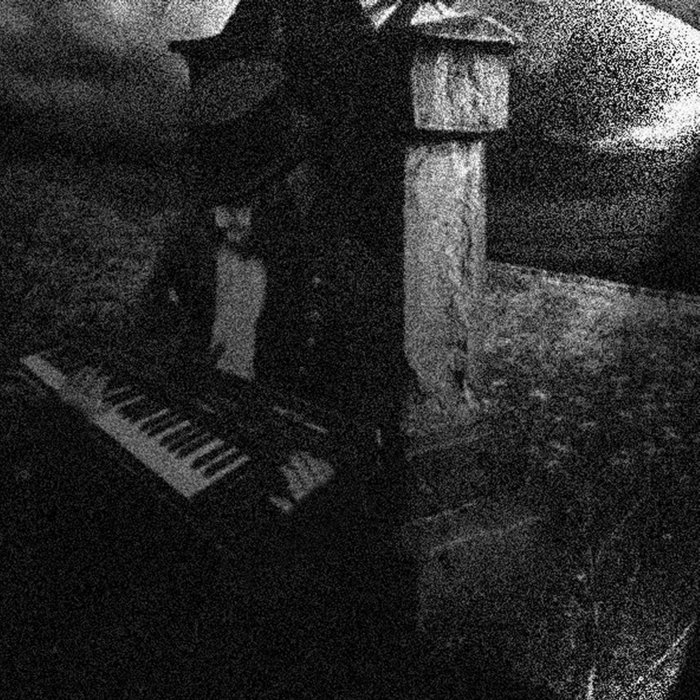 Synths at Midnight | thescientist | Freewave