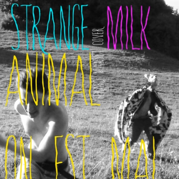 Animal On Est Mal (Gérard Manset cover) | Strange Milk